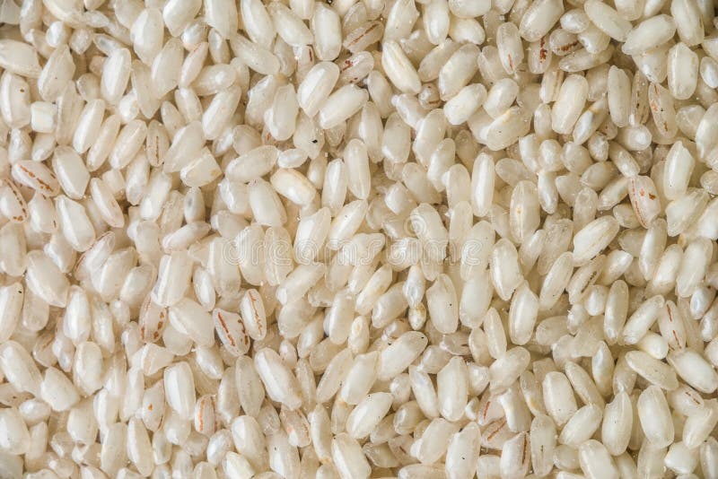 Background of Major Rice Varieties Arborio Stock Photo - Image of rice ...