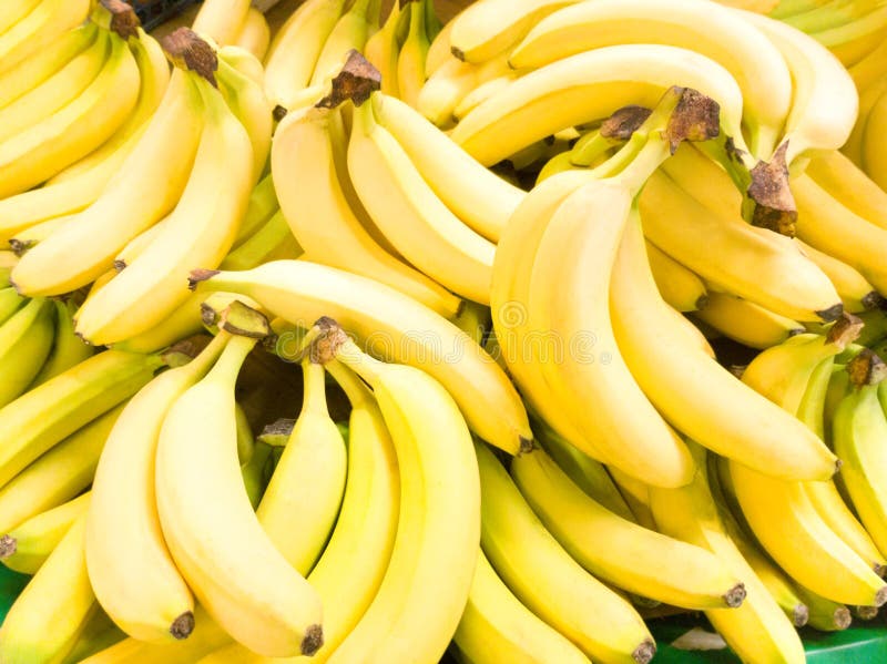 Many Bananas stock image. Image of unblemished, lots - 17529197