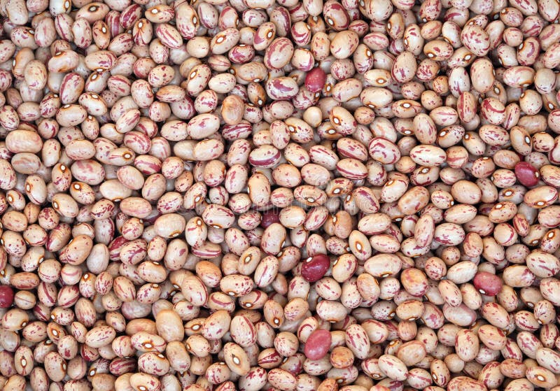 Background of many beans stock image. Image of backdrop - 160512281