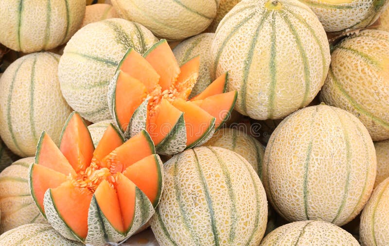 Background of Many Netted Melons Stock Image - Image of food, melons ...