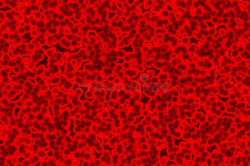 Background of Many Red Bio Cells Stock Illustration - Illustration of ...