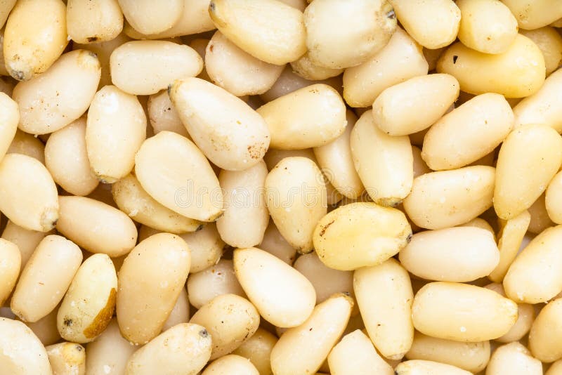 Background - Many Shelled Pine Nuts Stock Image - Image of fruit, pinon ...