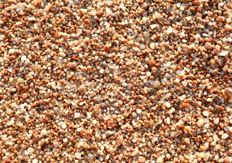 Background of Many Small Pebbles in the Beach Stock Image - Image of ...