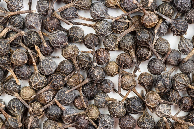 Cubeba Piper Seed Stock Photos - Free & Royalty-Free Stock Photos from ...