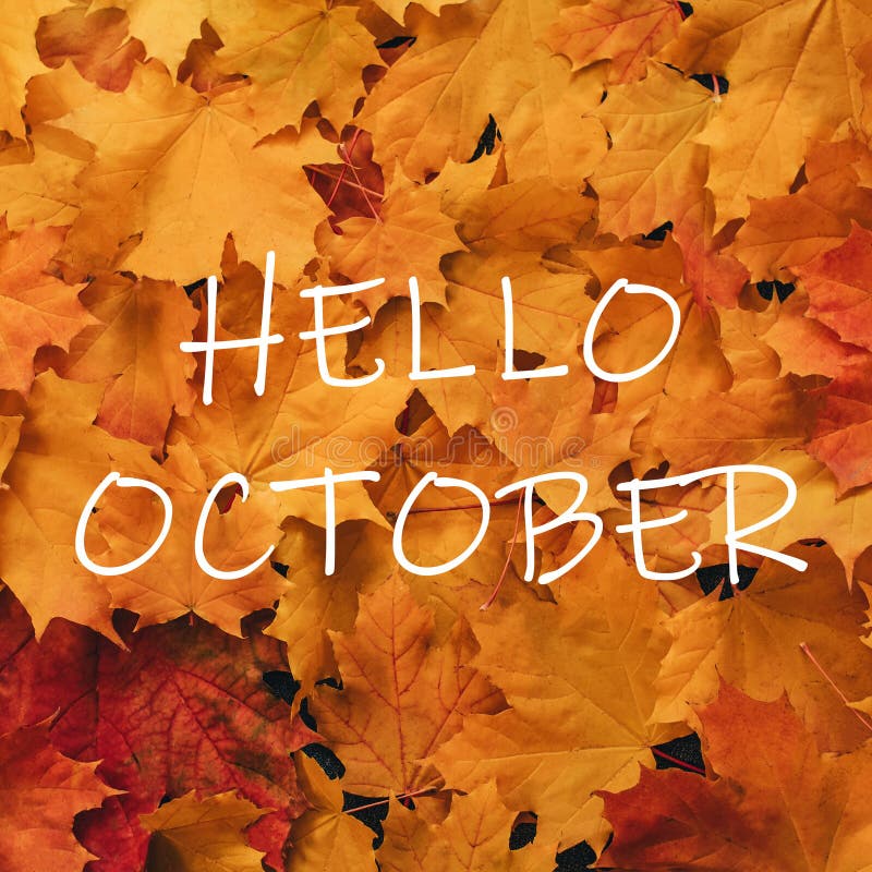 Background of Maple Leaves. Greeting Card with the Text Hello October ...
