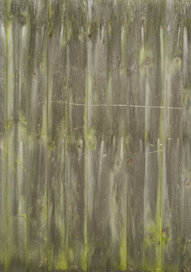 Background Material or Texture of the Natural Wood Planks. High Quality ...