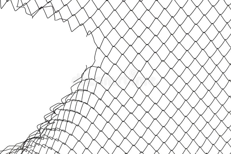 Background of Metal Mesh or Wire on a White Background Stock Image ...