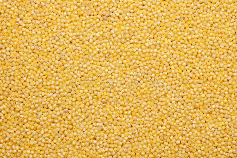 Background From Millet Grains. Texture For Design And Print. Natural ...