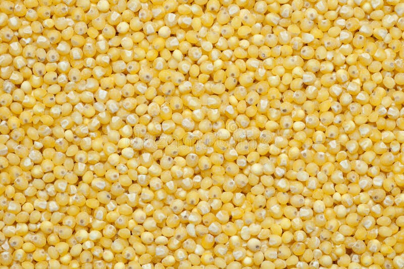 Background of millet stock image. Image of yellow, abstract - 11560361