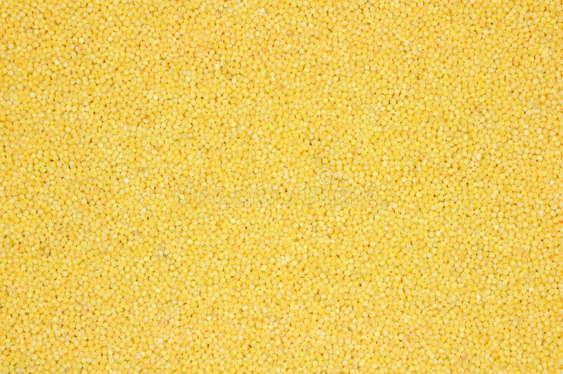 Background of millet stock image. Image of vegeterian - 15093937