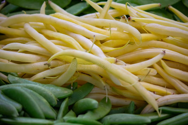 Background: Mix of Yellow and Green Beans Stock Photo - Image of ...