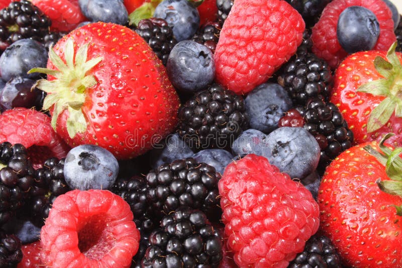 Background of Mixed Berries Stock Photo - Image of organic, color: 1368458