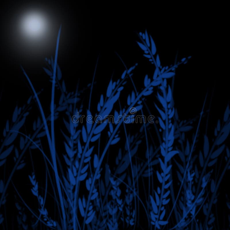 Background with Moon in the Sky and Night Field Stock Illustration ...