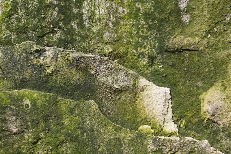 Background Mossy Limestone Rock Stock Photo - Image of face, gray: 42332660