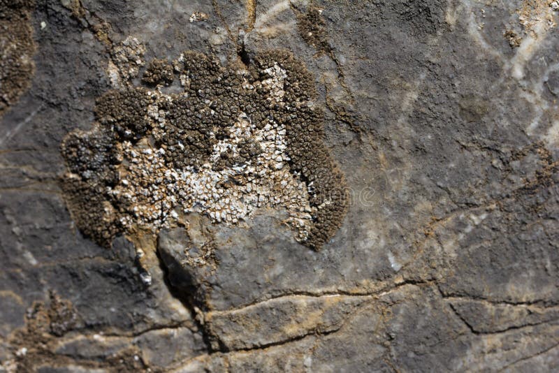 Background of Mountain Stone Stock Image - Image of land, eroded: 103854967