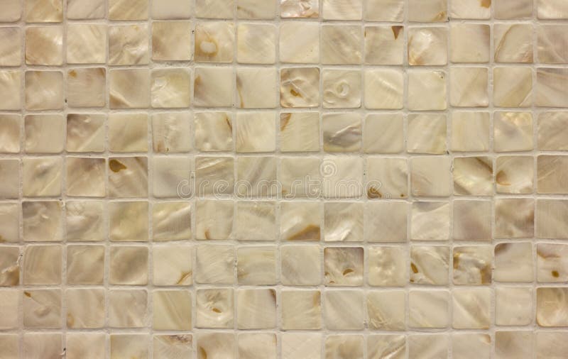 Capiz Sea Shell Texture stock image. Image of color, natural - 5932221