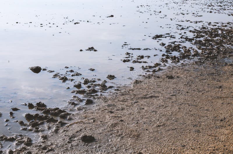 Natural mud texture stock image. Image of contaminated - 129849467