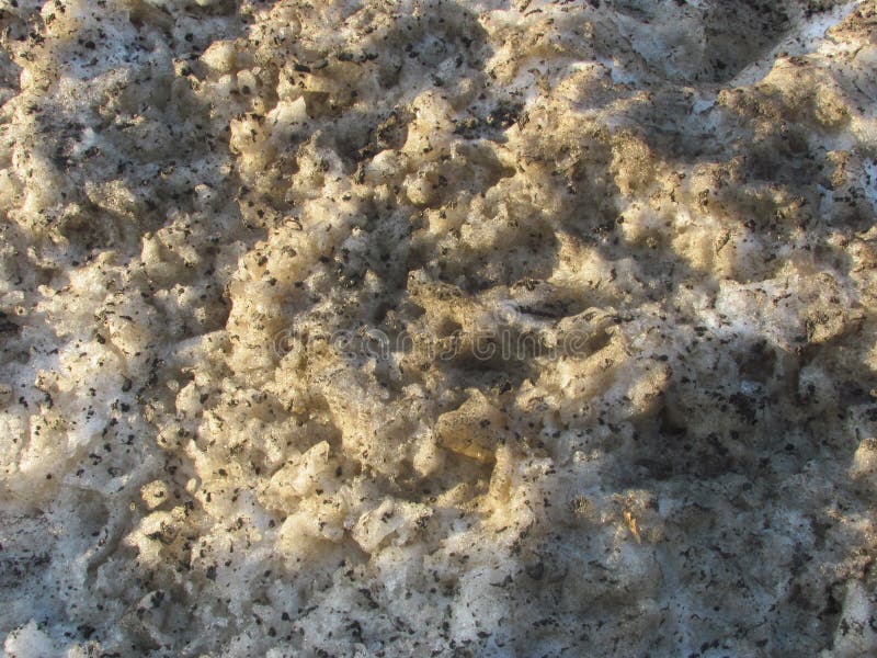 Background: Muddy Spring Snow Stock Photo - Image of background ...