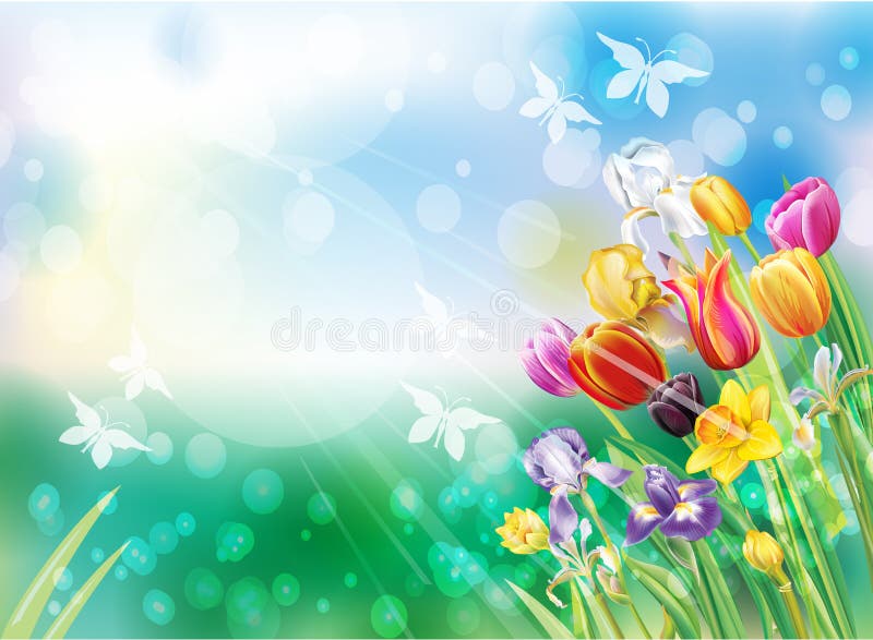 Background with Multicolor Spring Flowers Stock Vector - Illustration ...