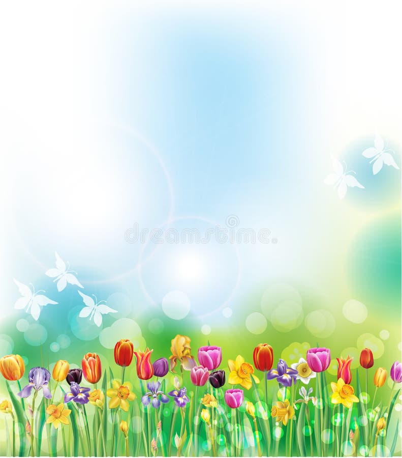 Spring Flowers and Grass Header Stock Vector - Illustration of field ...