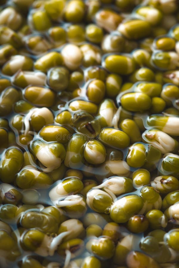 Background from Mung Beans Poured Water Closeup Stock Photo - Image of ...