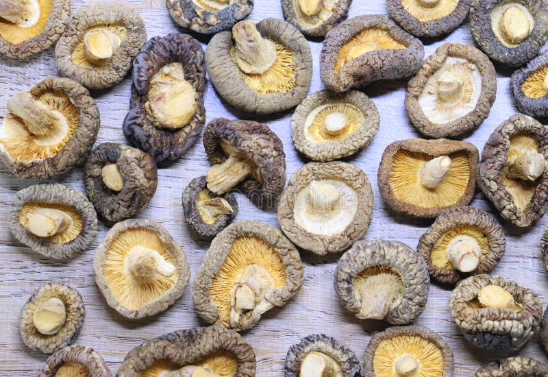 BACKGROUND with Mushrooms, Rich Texture of the Material, Stock Photo ...