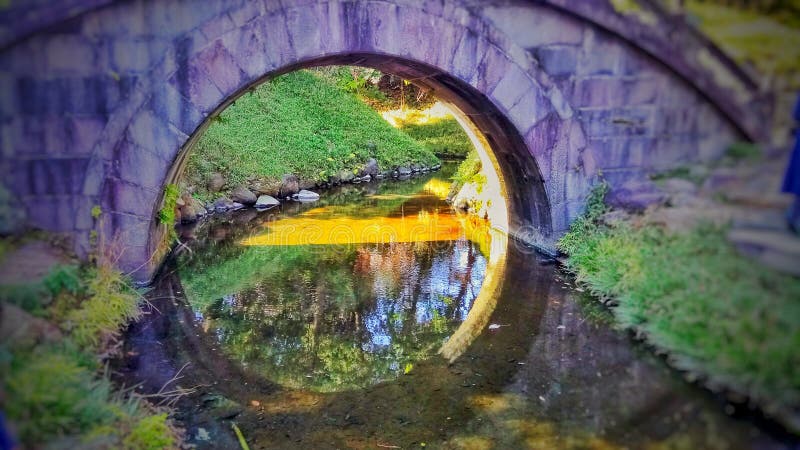 Natural Circle Patterns stock photo. Image of pattern - 71198916