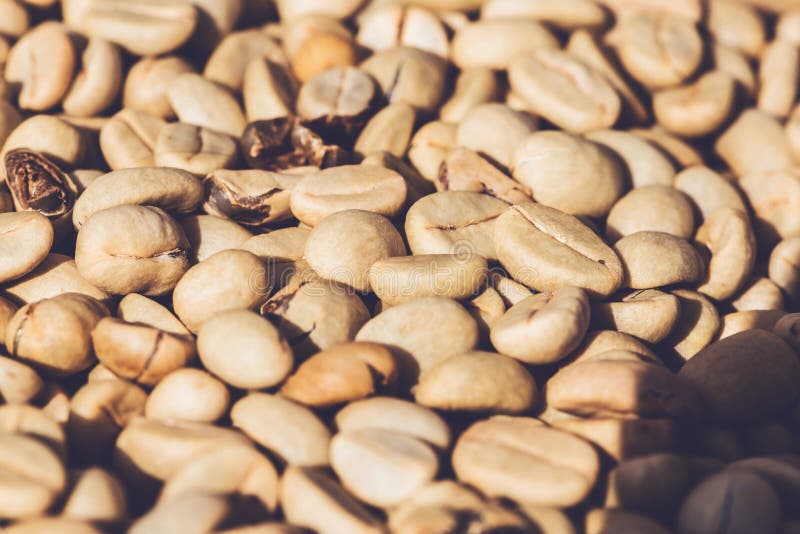 Background Natural Dried Beans, Coffee Bean Stock Image - Image of ...