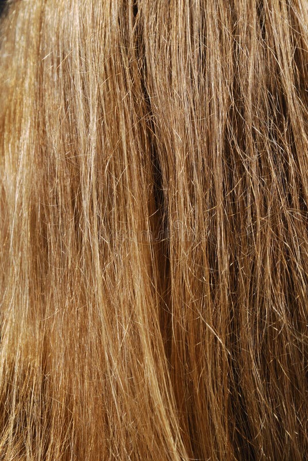 Close-up of Natural Fair Hair Stock Image - Image of female, texture ...