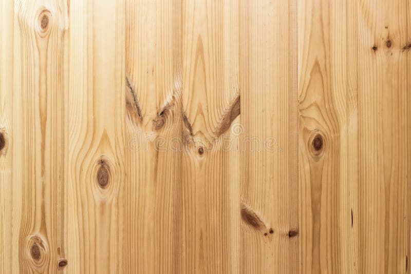 Background Natural Pine Tree Texture of Light Color with Knots Stock ...