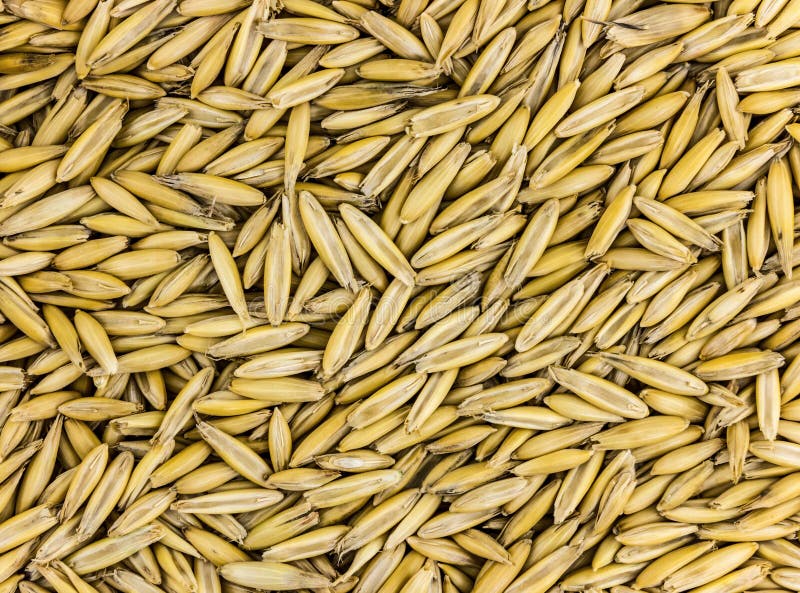 Background Natural Seed Rye, Ingredient Brewing Base, Light Beige ...