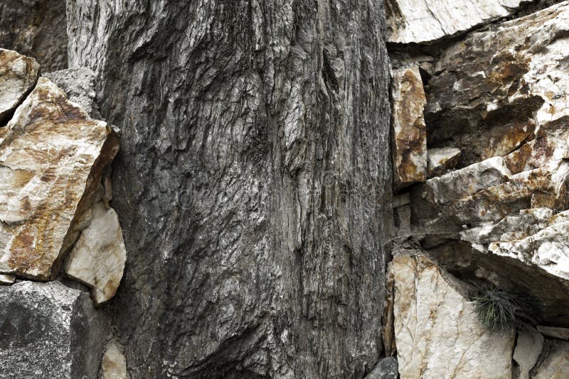 Background with Natural Stone of Different Texture and Color Stock ...