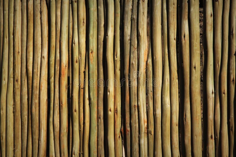 Background Natural Stripped Wood Poles Stock Image - Image of flora ...