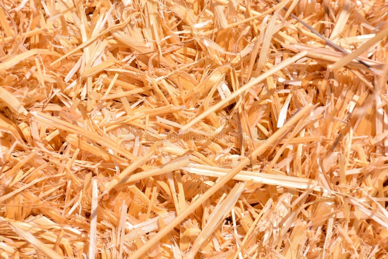 Background the Natural Texture of Dry Straw Stock Image - Image of ...