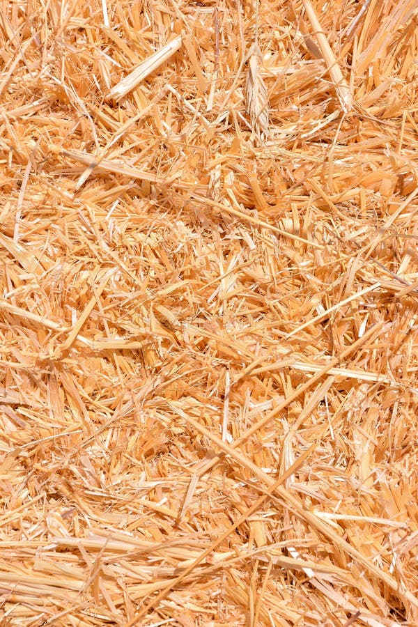 Background the Natural Texture of Dry Straw Stock Image - Image of farm ...
