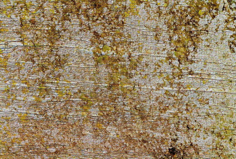 Background with Natural Texture and Irregular Pattern Stock ...