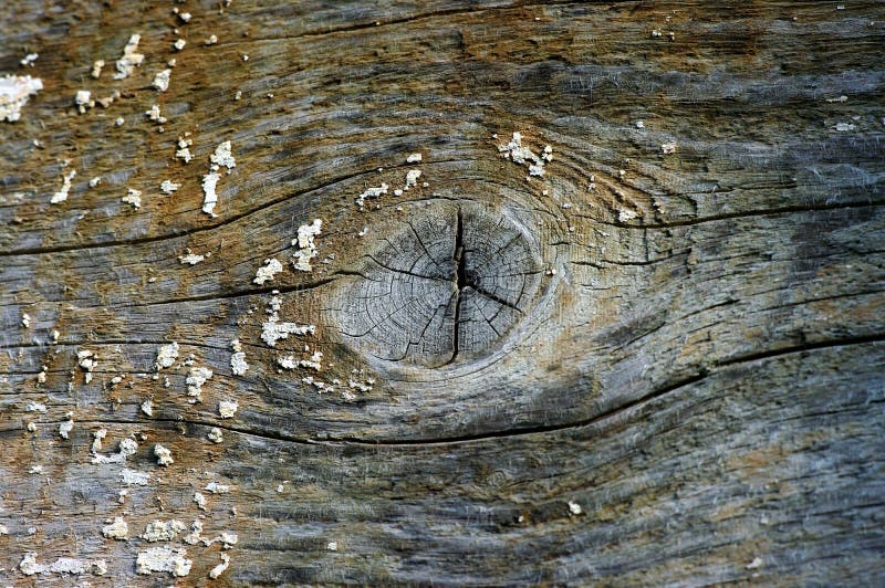 Background with Natural Timber Structure Stock Image - Image of ...