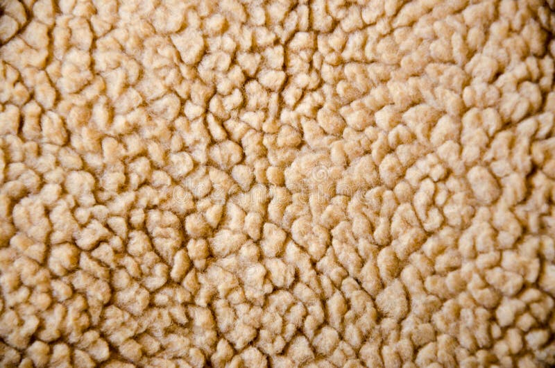Background Natural Wool Beige Closeup Stock Image - Image of curly ...