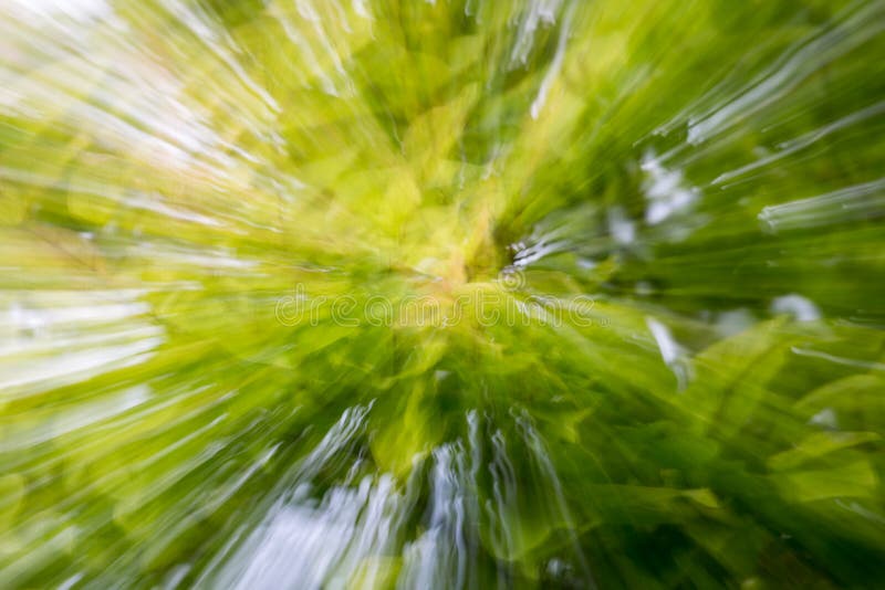 Background of Nature in Motion Stock Photo - Image of blur, leaf: 96863456