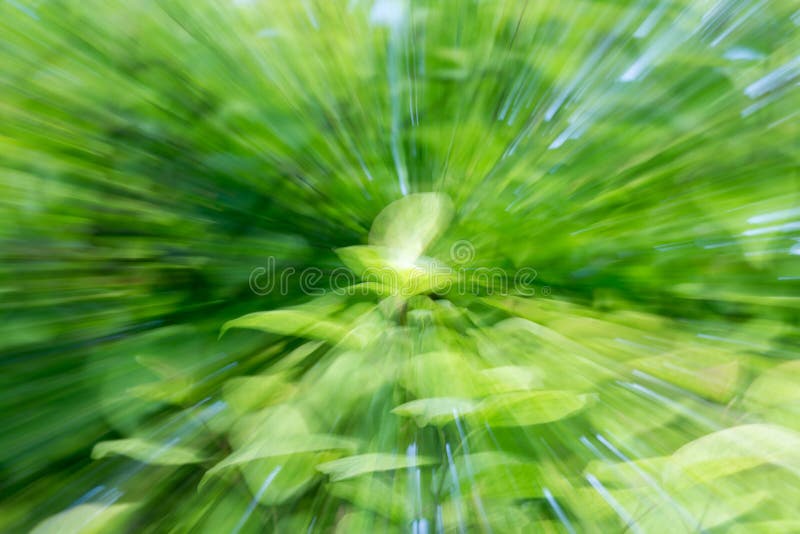 Background of Nature in Motion Stock Photo - Image of motion, layout ...
