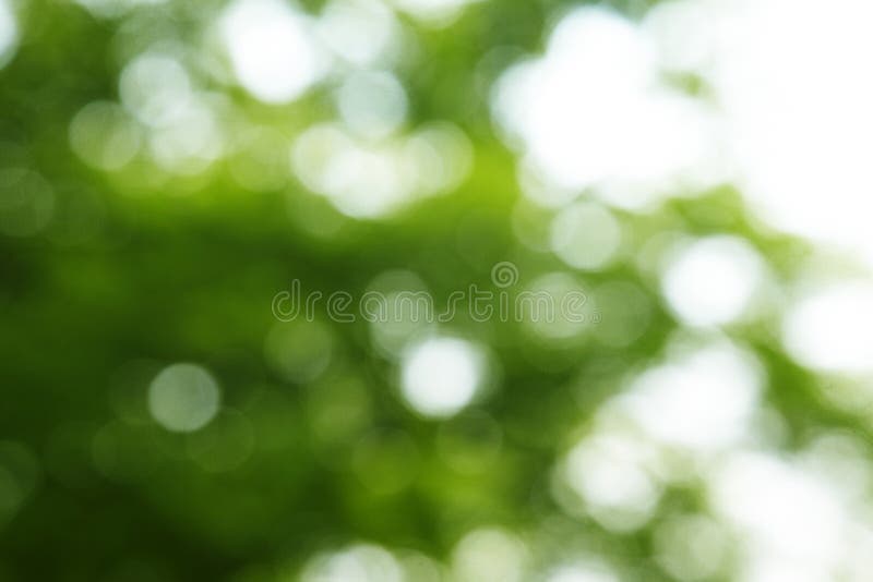Background from Nature Pattern Stock Image - Image of bokeh, green ...