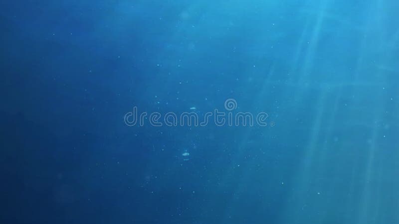 Background Nature Water, Scene Underwater and Deep Ocean Stock Video ...