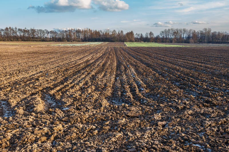 Newly Plowed Field Ready for New Crops Stock Image - Image of country ...