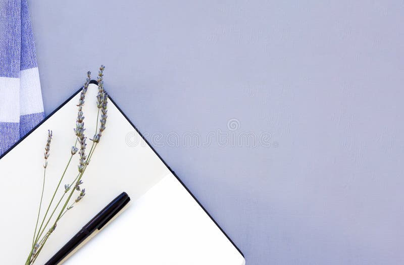 Background with a Notebook, Branches of Wild Flowers. Grey Blue Color ...