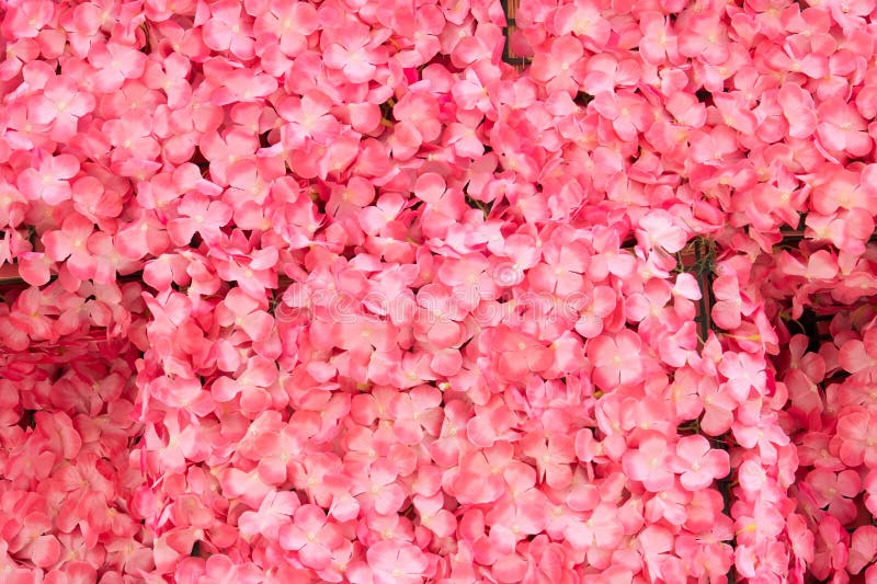 Background of Numerous Small Artificial Pink Flowers. Beautiful Texture ...