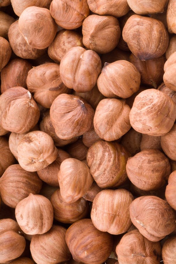 Background. nut. filbert stock photo. Image of nutshell - 3856978