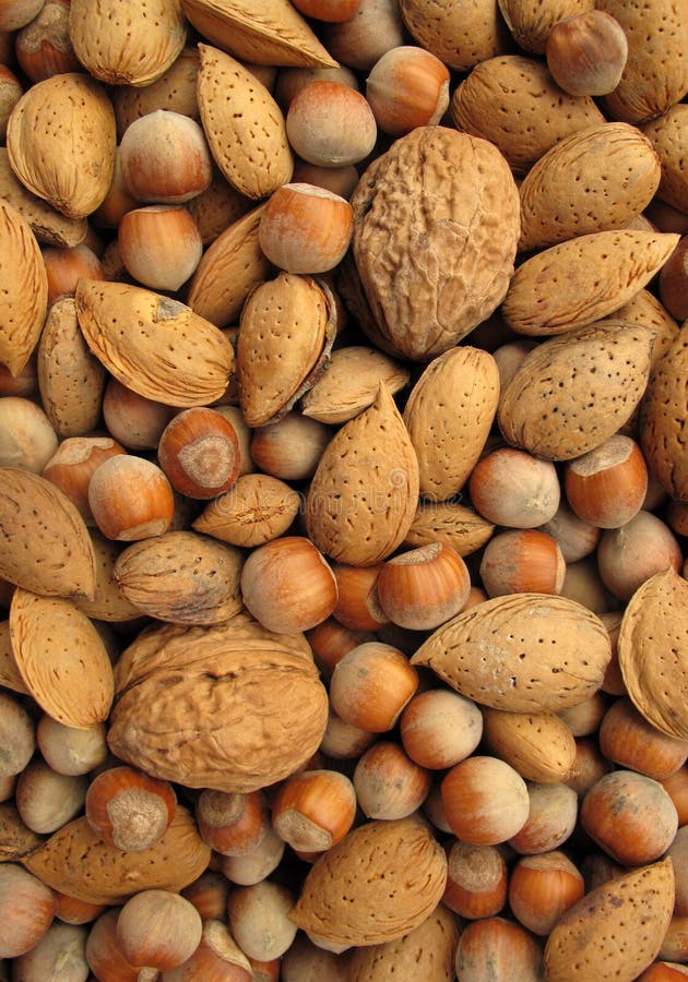 Background of nuts stock image. Image of fruit, ripe - 12292233