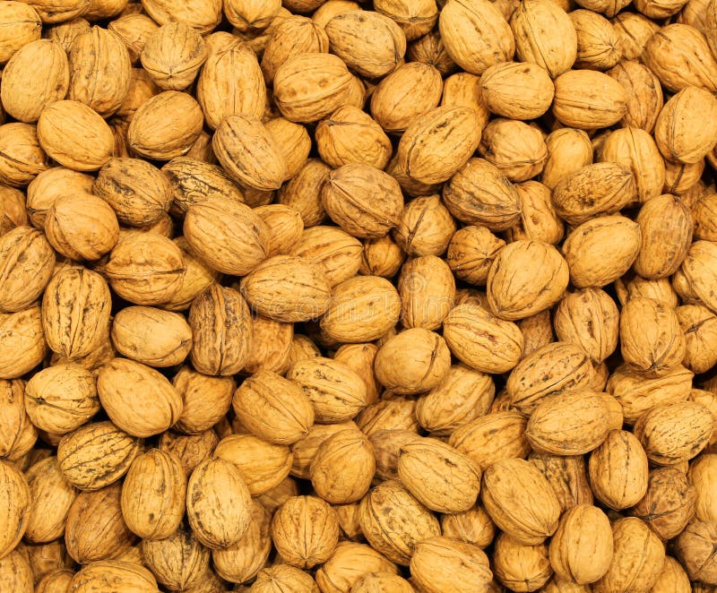 Background of nuts stock photo. Image of group, walnuts - 137824168