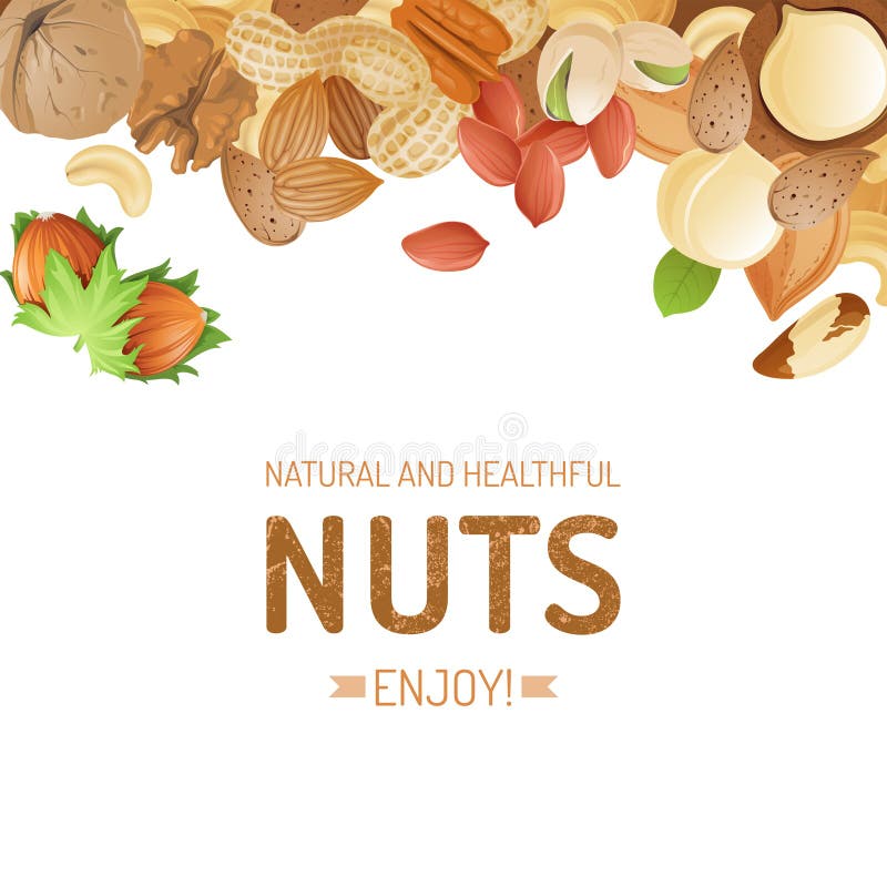 Background with nuts stock vector. Illustration of drawing - 38562235