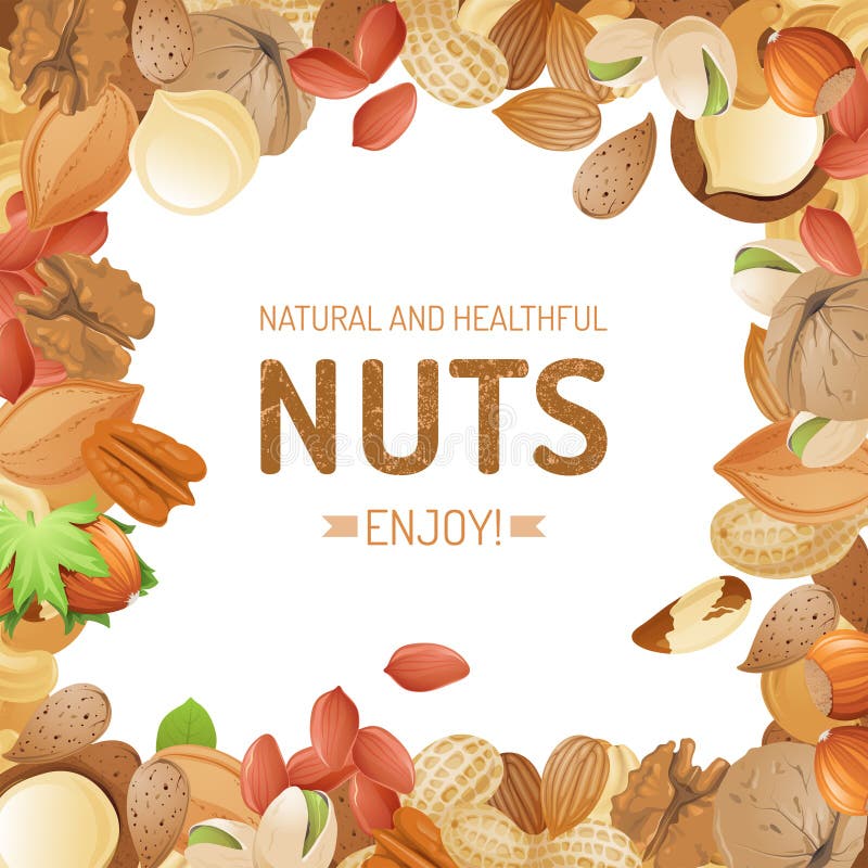 Background with nuts stock vector. Illustration of drawing - 38562235